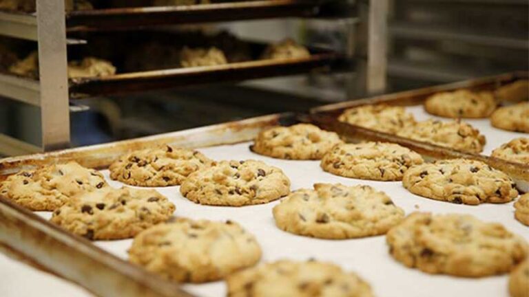 Nancy B's Chocolate Chip Cookie Recipe (Savor the Sweetness) - All ...
